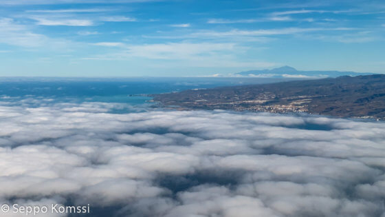 Gran Canarian lintuja ja maisemiaGran Canaria linnut 2 - Seppo Komssi